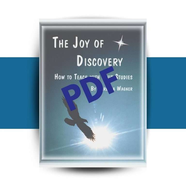 Lightning Lit–Level Storm Pack – Hewitt Learning