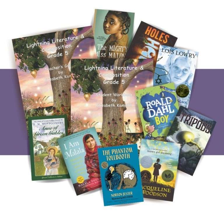 Lightning Lit–Grade 5 Pack – Hewitt Learning