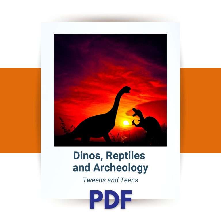 Dinos, Reptiles and Archeology – Hewitt Learning